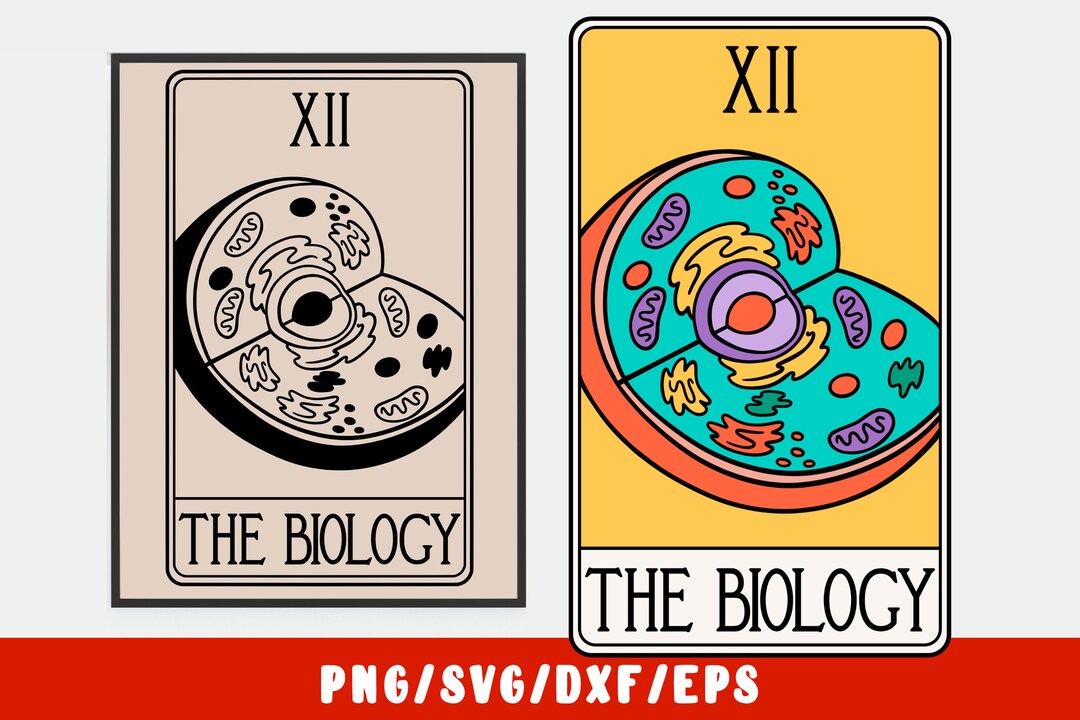 Biology SVG Cell Tarot Card Genetic DNA Science Teacher Biologist - Etsy