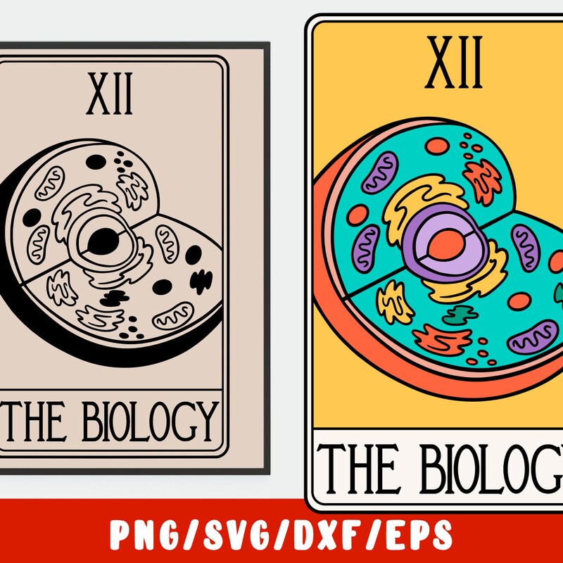 Biology Svg - Etsy