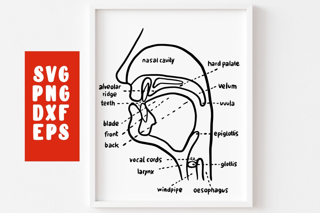 Linguist SVG Cut File - Phonetics Teacher Language Linguistics PNG DXF ...