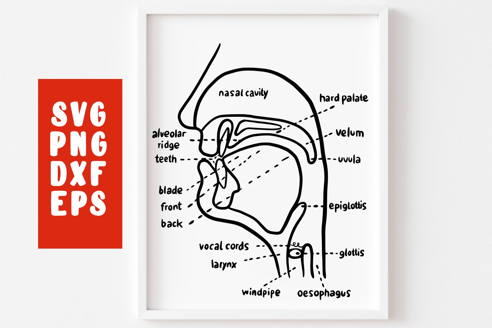 Linguist SVG Cut File Phonetics Teacher Language Linguistics - Etsy