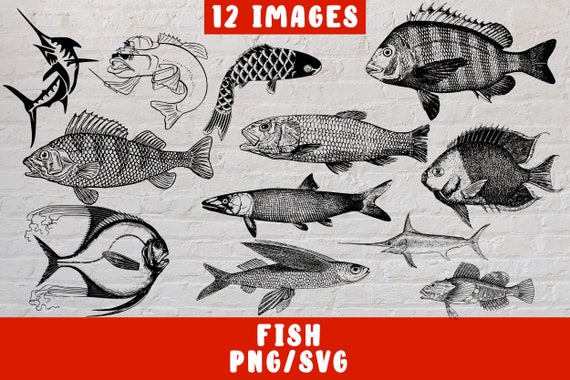 Fish SVG Bundle Fishing Fisherman Salt Water Fishes Png - Etsy