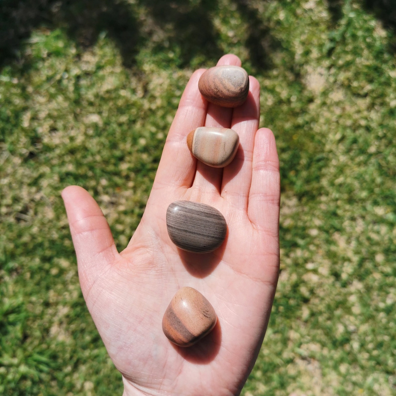 Australian ZEBRA Stone Zebra Rock Raw Stone Healing - Etsy Australia