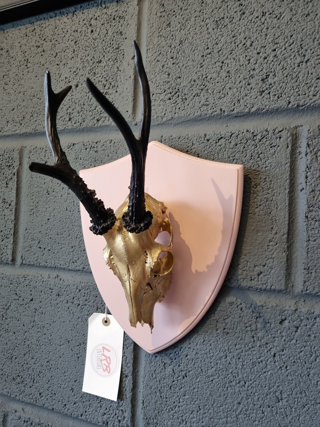 Deer Skull Antlers Stag Head Taxidermy Wall Hanging Art Gothic Wall ...