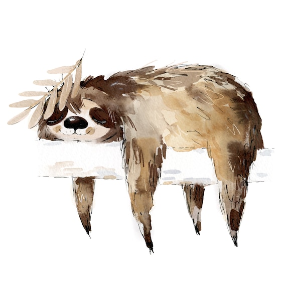 Sloth Clipart Realistic