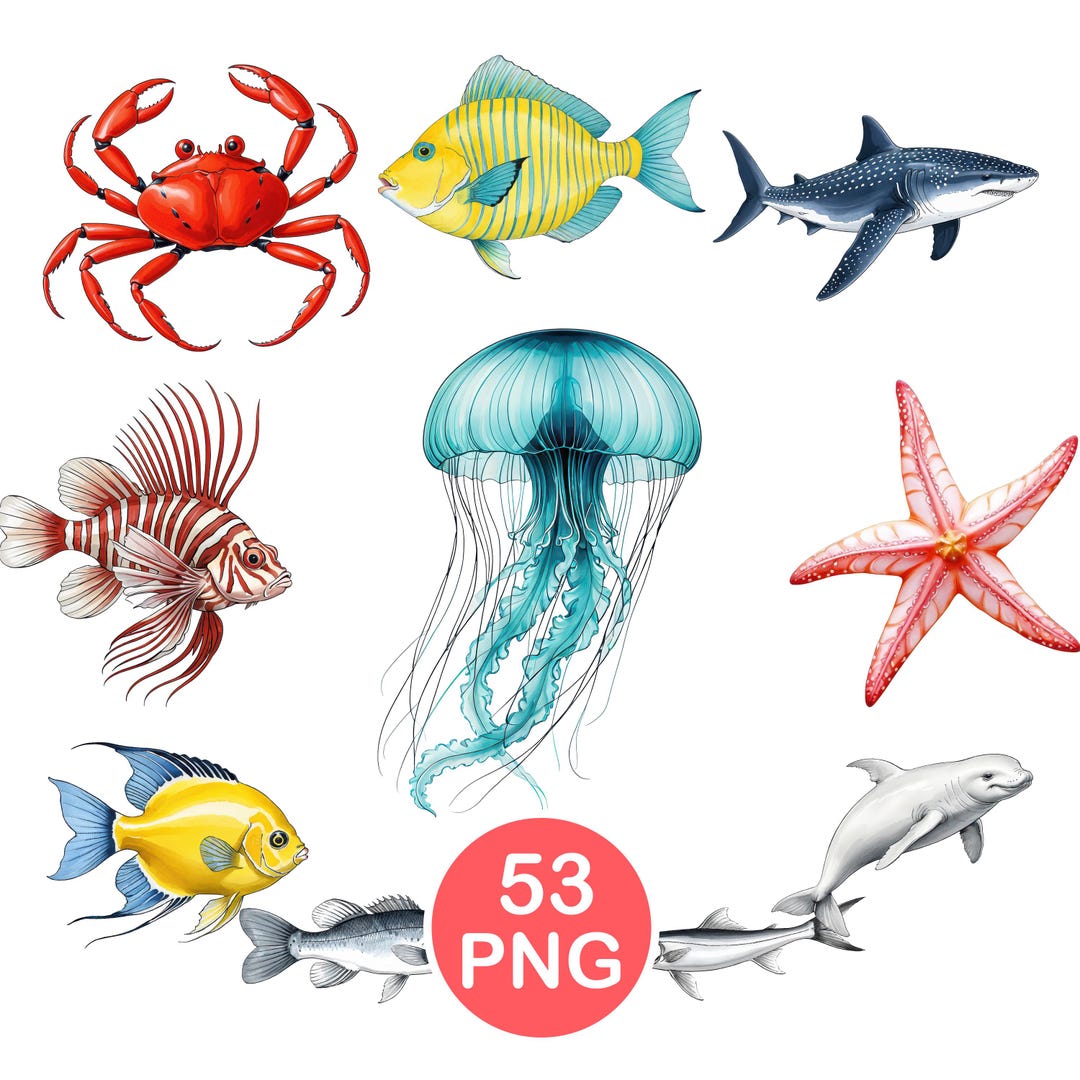 Sea Animals Clipart, Ocean Wildlife Illustration, Marine Life Clip Art ...