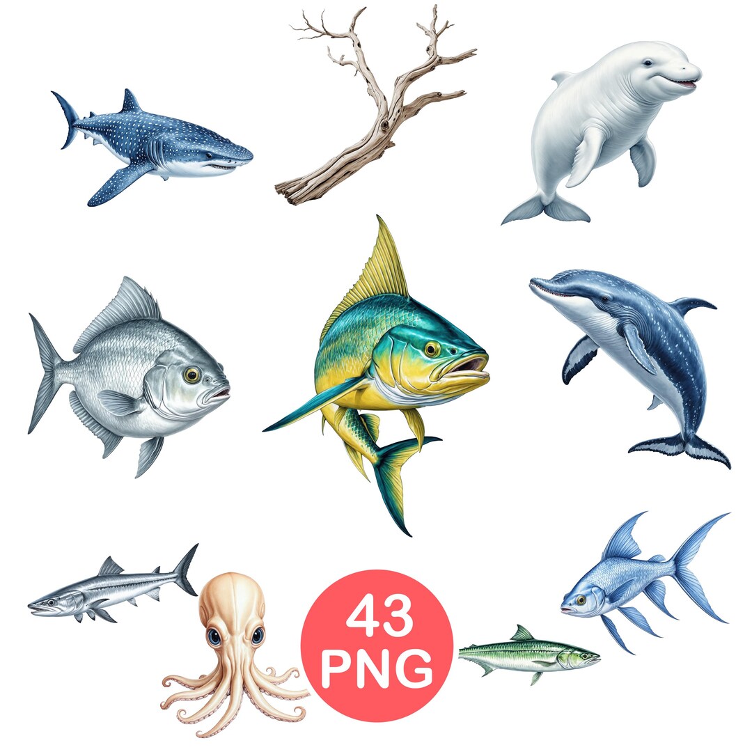 Ocean Animals Clipart, Marine Life, Dolphins Sharks Illustrations, Sea ...