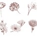 20 PNG Rose Gold Glitter Flowers, Clip Art, Design Elements, Floral ...