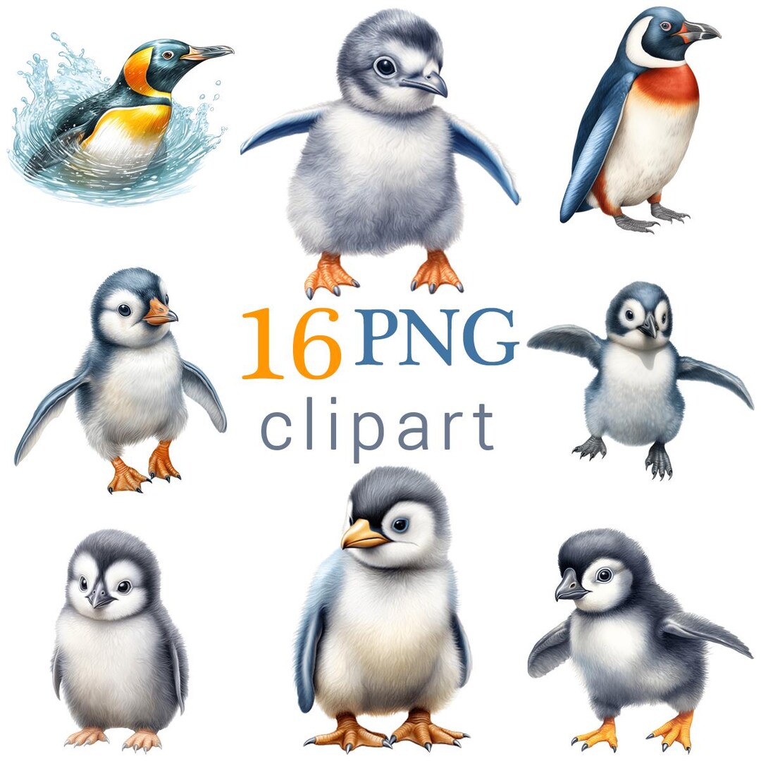 16 PNG Realistic Cute Penguin Clipart, Baby Penguins Digital Files ...