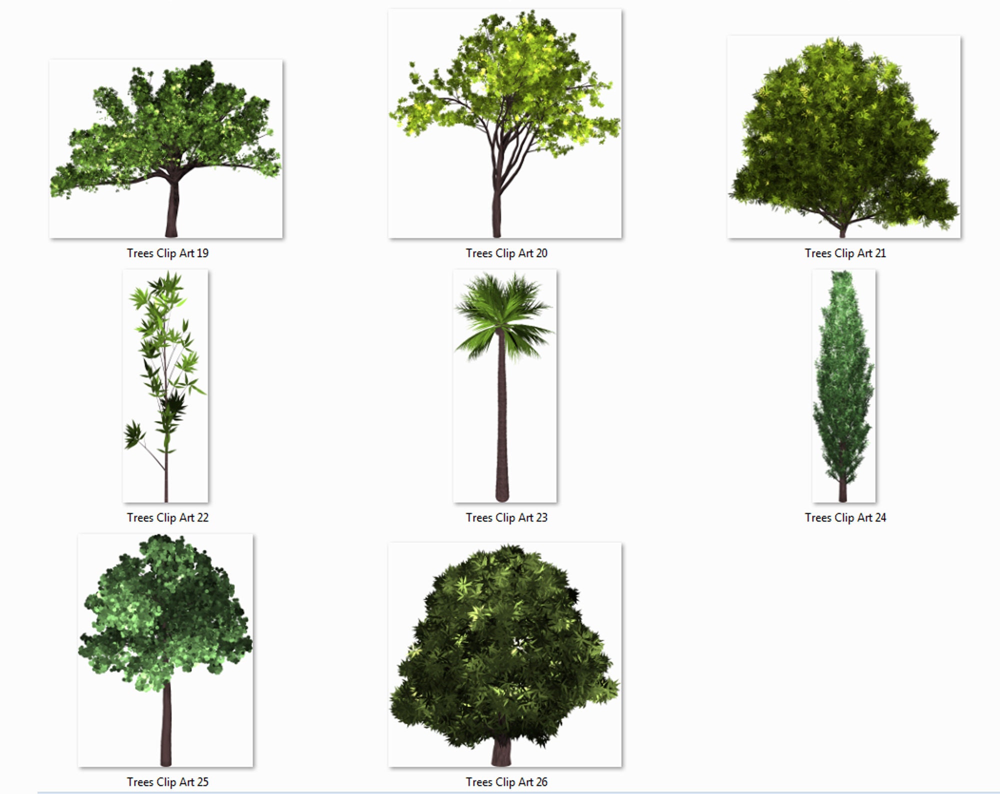 26 PNG Digital Trees Clip Art Collection With Transparent - Etsy Canada