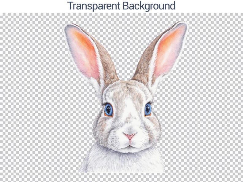 Easter Bunny Clipart, Rabbit& Eggs, Spring Holiday Elements, Wreaths ...