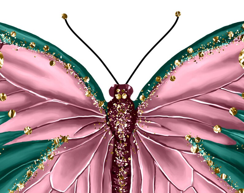 36 PNG Bright Butterflies Clip Art Digital Butterflies | Etsy