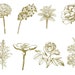 20 PNG Gold Glitter Flowers Clip Art Design Elements - Etsy