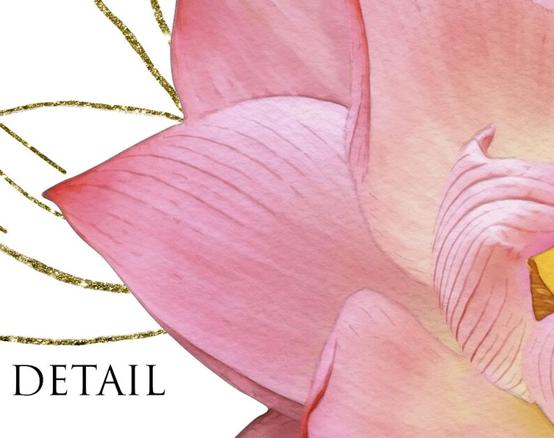 PNG Pink Lotus Clip Art Design Elements Instant Download - Etsy