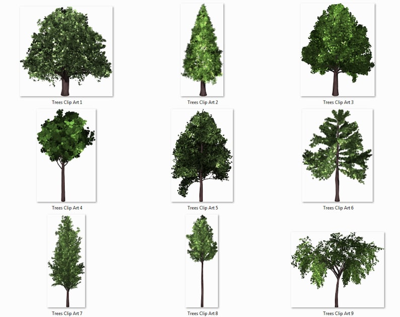 26 PNG Digital Trees Clip Art Collection With Transparent | Etsy