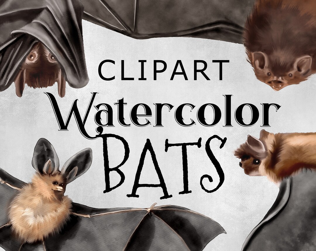 14 PNG Watercolor Bats, Spooky Bats Clipart, Flying Bat, Hanging Bat ...