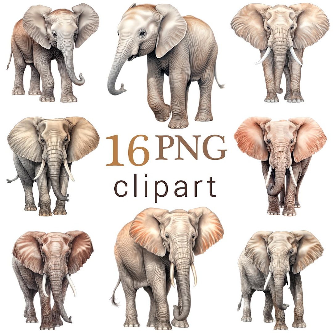 Realistic Elephant Clipart PNG Set: Baby & Adult Elephants (digital ...