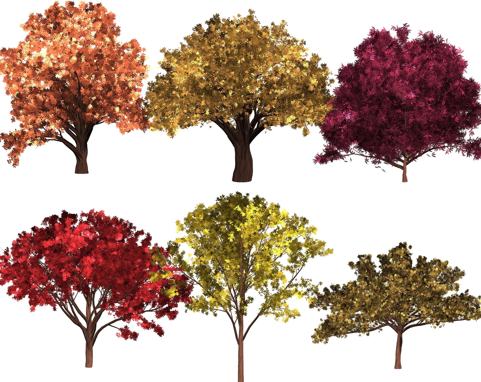 22 PNG Digital Autumn Trees Clip Art Collection With - Etsy