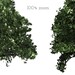 26 PNG Digital Trees, Clip Art Collection With Transparent Background ...