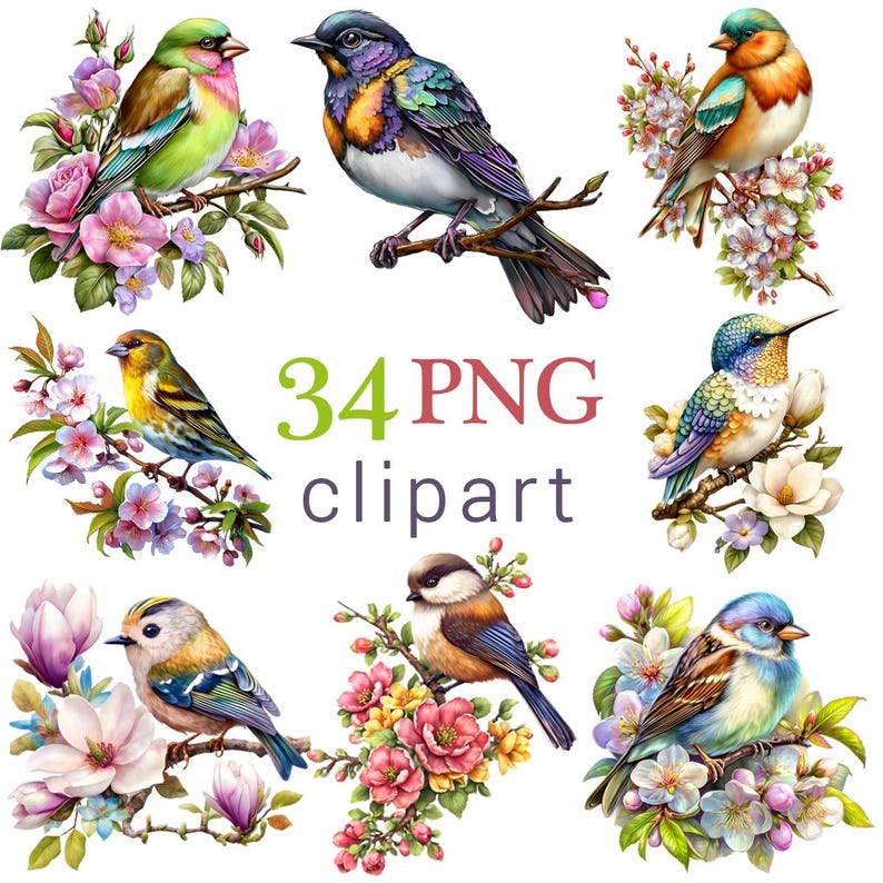 Birds With Flowers Clipart: Floral Songbirds, PNG Images (transparent ...