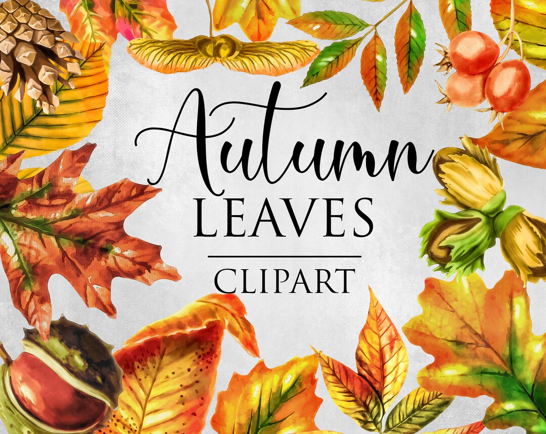 28 PNG Autumn Leaves, Clipart Collection, Watercolor Fall Leaves, Fall ...