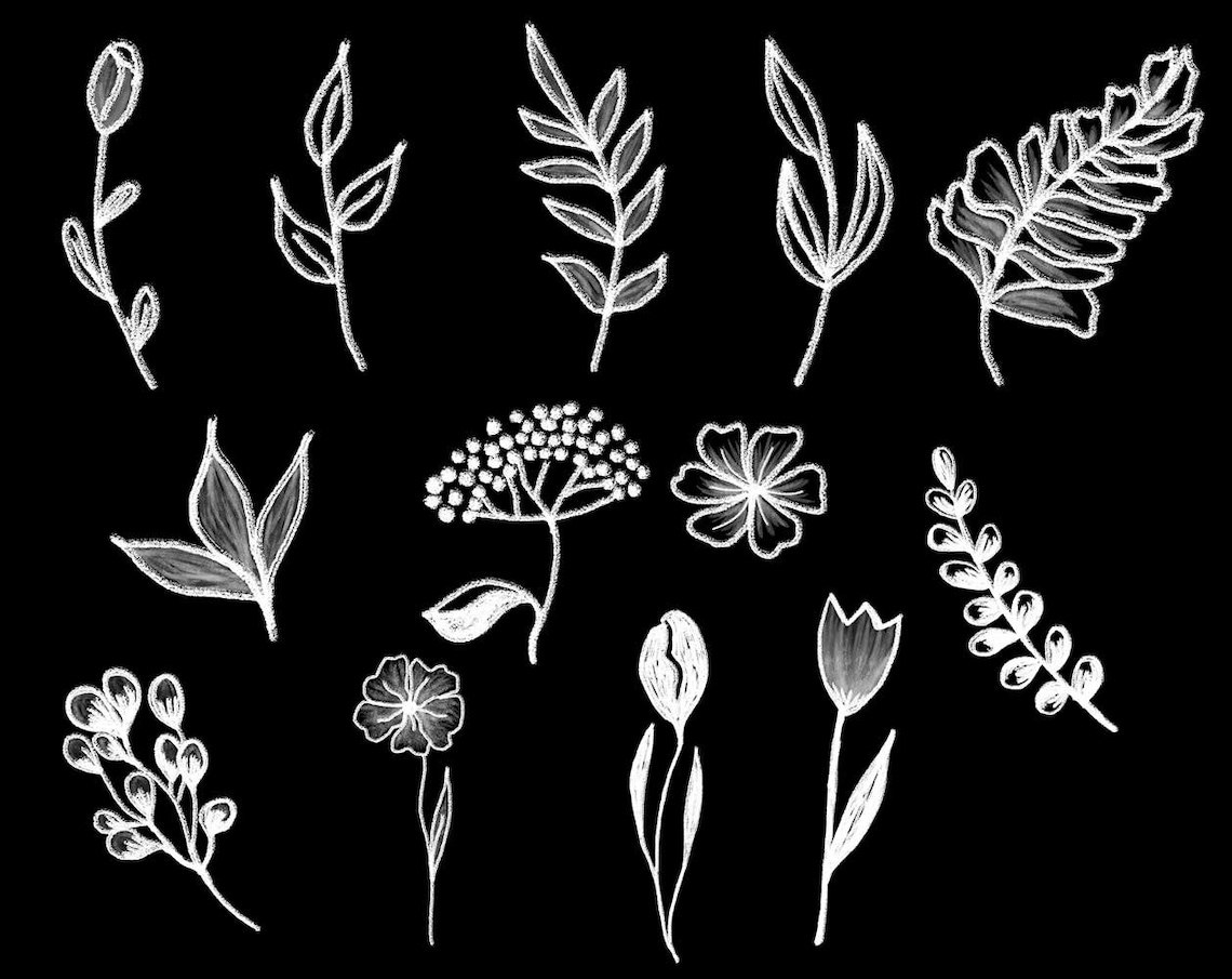 22 PNG White Chalk Drawn Flowers Clip Art Chalk Design | Etsy