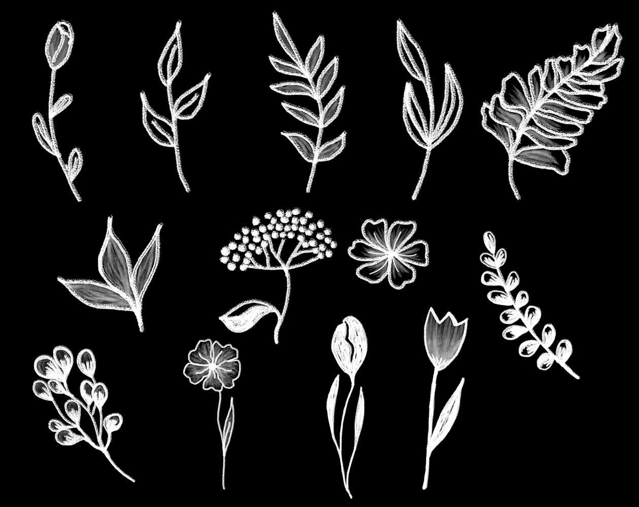 Easy Chalk Flower Drawings