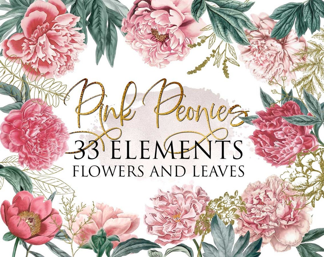 33 PNG, Peony Clipart Set, Blush Pink Peonies, Peonies Clip Art ...