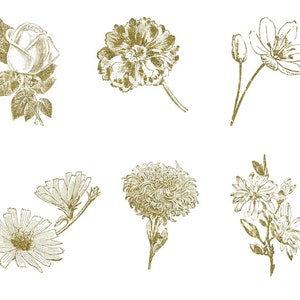 20 PNG Gold Glitter Flowers, Clip Art, Design Elements, Instant ...