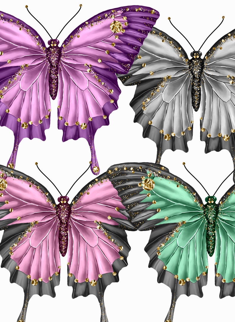 36 PNG Bright Butterflies Clip Art Digital Butterflies | Etsy