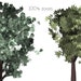 26 PNG Digital Trees, Clip Art Collection With Transparent Background ...