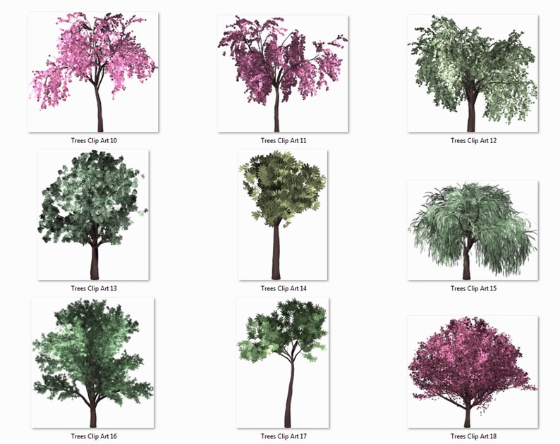 26 PNG Digital Trees Clip Art Collection With Transparent | Etsy