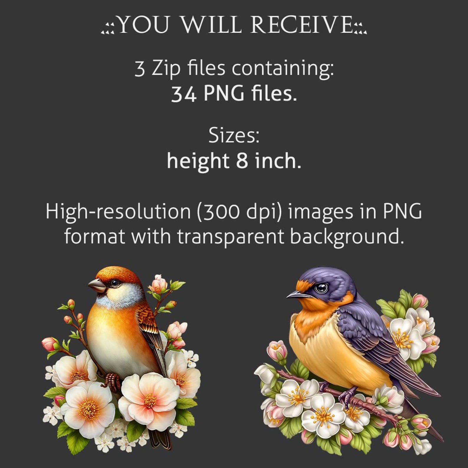 Birds With Flowers Clipart: Floral Songbirds, PNG Images (transparent ...