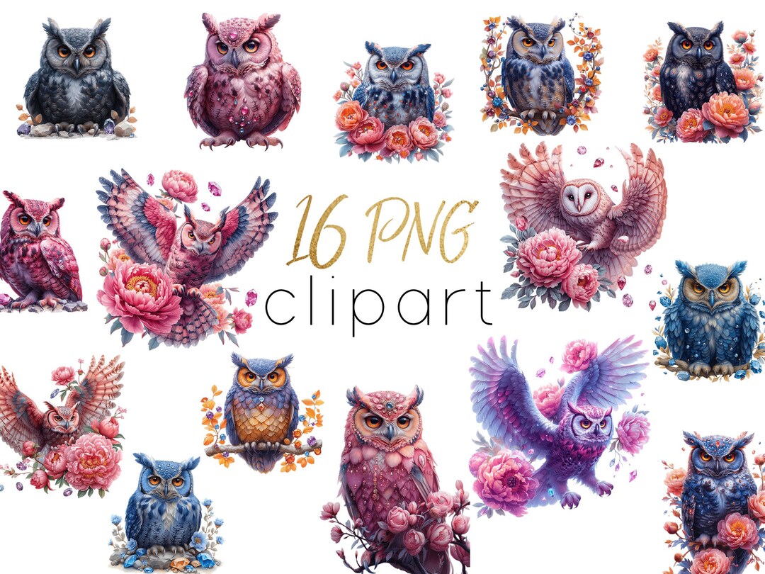 Floral Owl Clipart: Gemstone & Flower Designs (PNG Digital Download) - Etsy