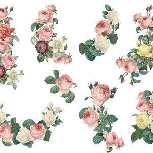 16 PNG Vintage Roses Bouquets, Floral Clip Art, Botanical Illustrations ...