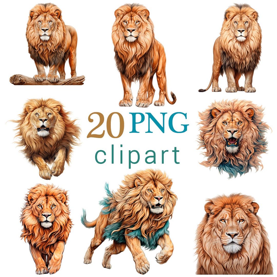 Realistic Lion Clipart PNG Bundle: Transparent Background, Commercial ...