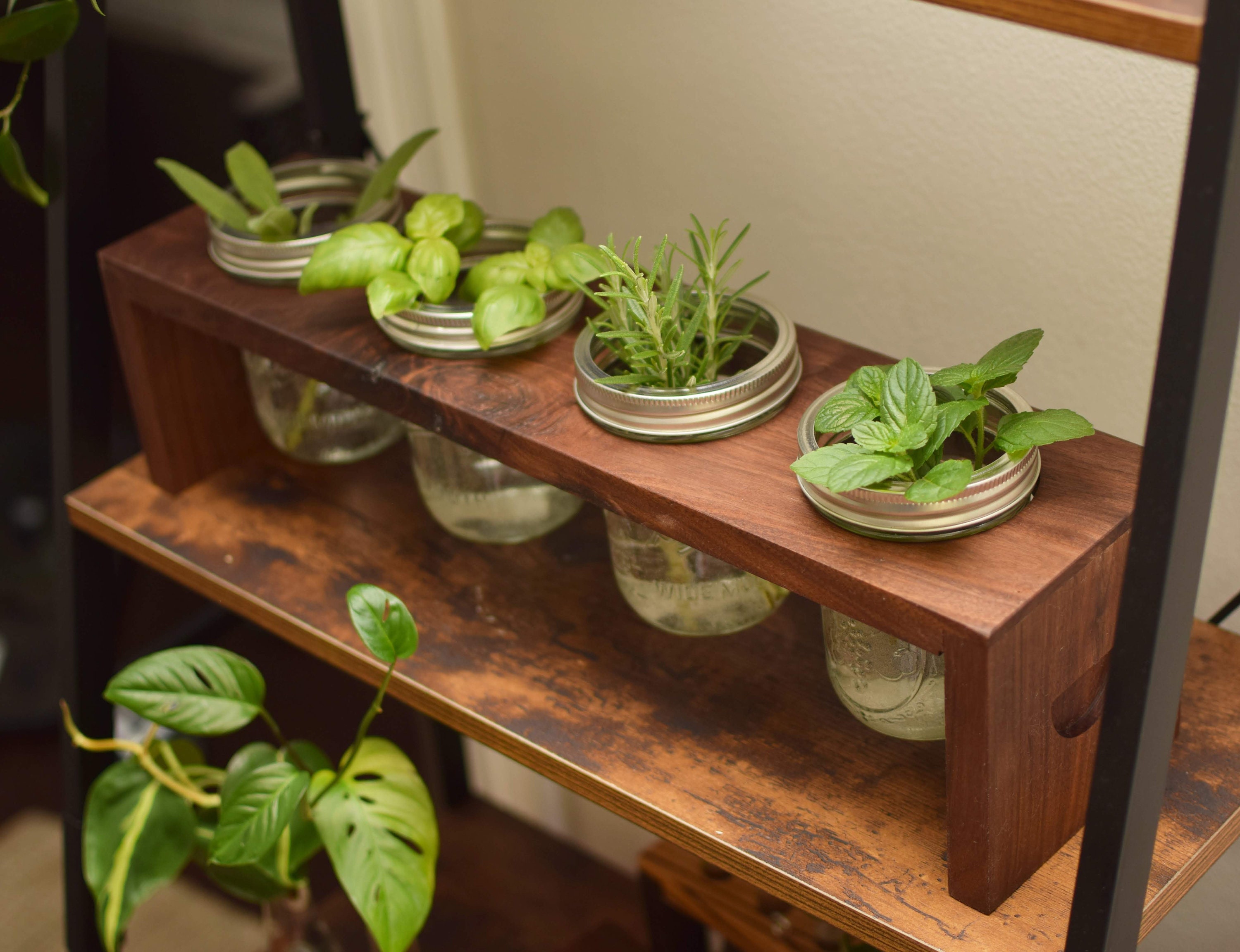 Large Herb Garden Walnut Planter 16oz Mason Jars . Grow Your | Etsy