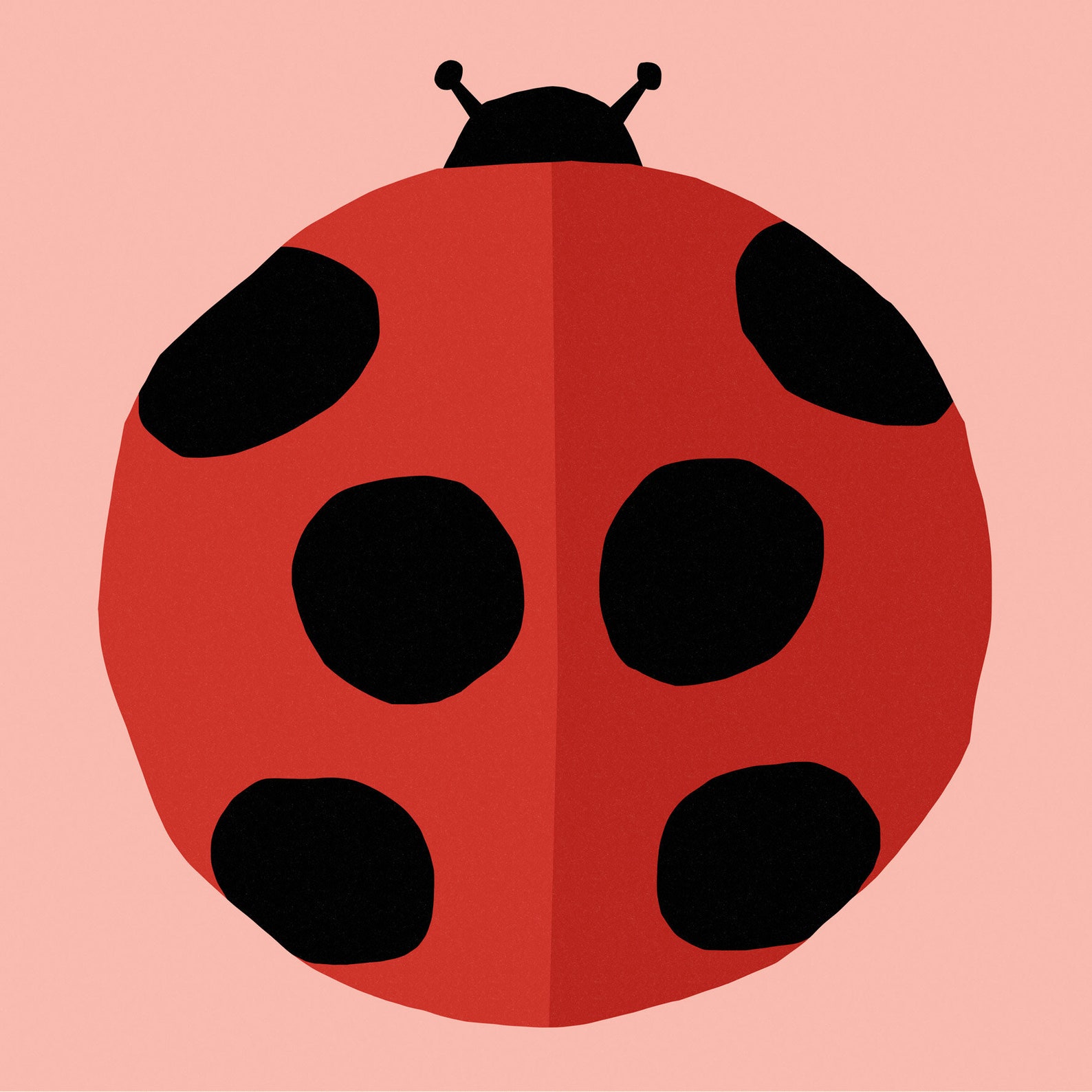 Ladybird Alphabet Print - Etsy