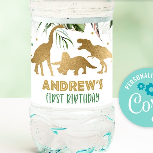 EDITABLE Dinosaur Bottle Label T-rex Dinosaur Water Labels - Etsy