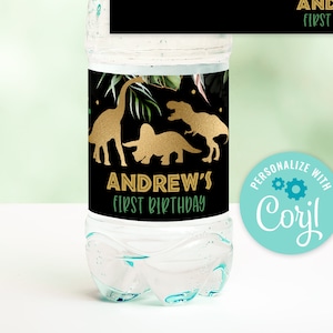EDITABLE Dinosaur Bottle Label, T-rex Dinosaur Water Labels Printable ...