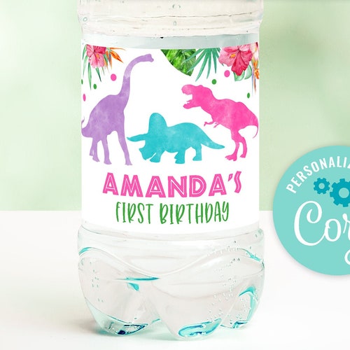EDITABLE Dinosaur Bottle Label T-rex Dinosaur Water Labels - Etsy