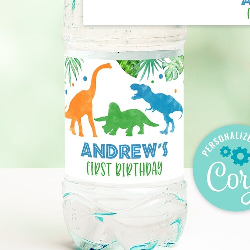 Editable Dinosaur Water Bottle Labels Dinosaur Birthday T-rex - Etsy