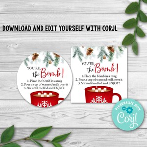 Hot Chocolate Bomb Tags, Hot Cocoa Bomb Instructions Favor Tag Hot ...