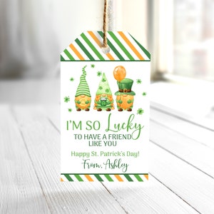Editable St Patrick's Day Gift Tag St Patrick's Gnomes Tags Printable ...