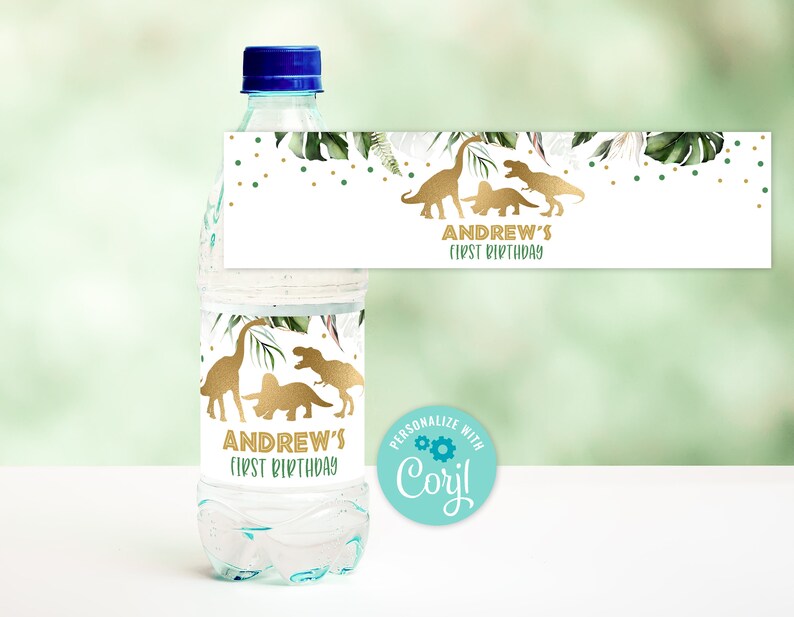 EDITABLE Dinosaur Bottle Label, T-rex Dinosaur Water Labels Printable ...