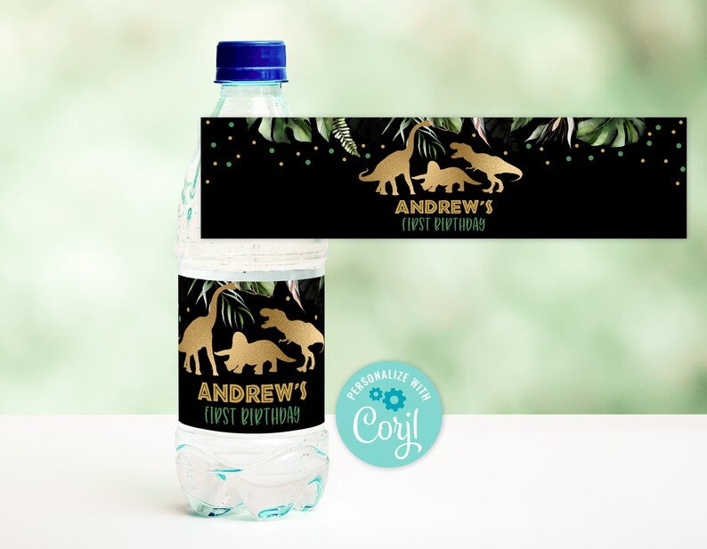 EDITABLE Dinosaur Bottle Label T-rex Dinosaur Water Labels - Etsy