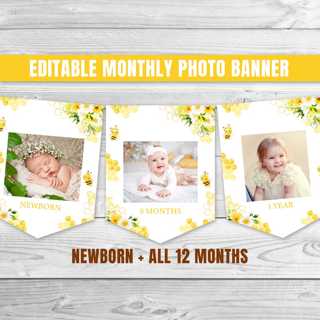 Editable Bee Birthday Monthly Photo Banner Honey Bee 1st Birthday ...