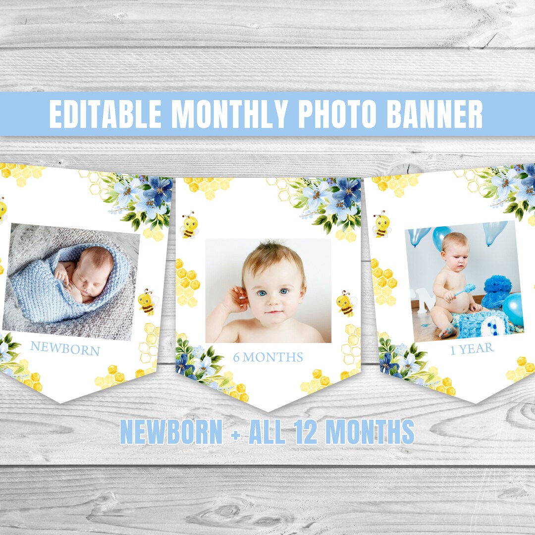 Editable Bee Birthday Monthly Photo Banner Honey Bee 1st Birthday ...