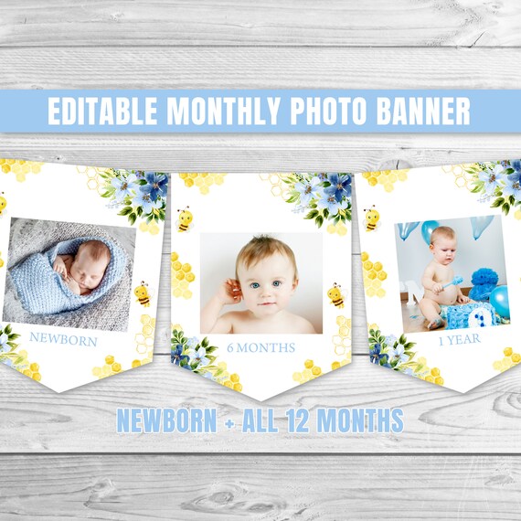 Editable Bee Birthday Monthly Photo Banner Honey Bee 1st - Etsy