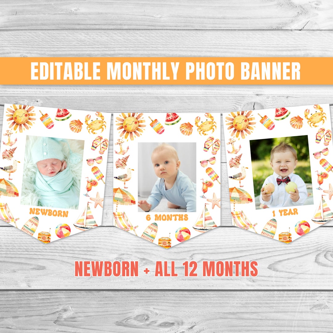Editable One in the Sun Birthday Monthly Photo Banner Pool 1st Birthday ...