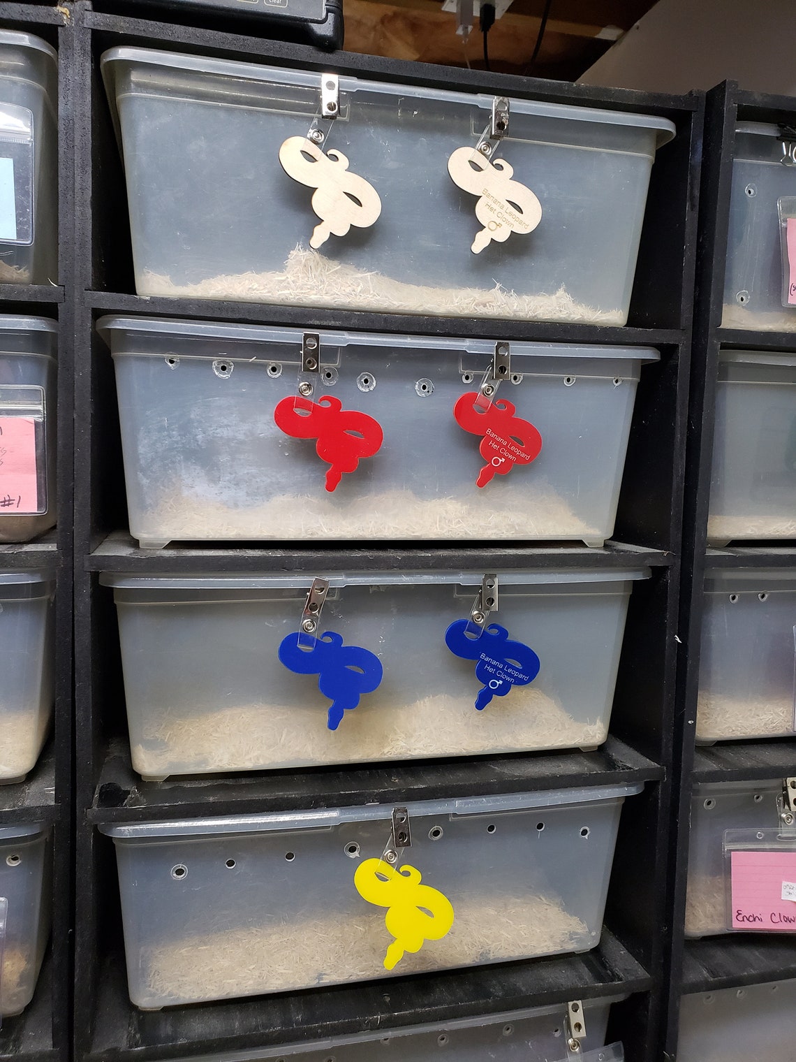 Snake Tags for Caging - Customizable and Stylish Reptile Enclosure ...